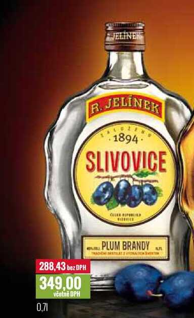 Rudolf Jelínek Vizovická slivovice bílá 50% 2018, 0,7 l v akci ...