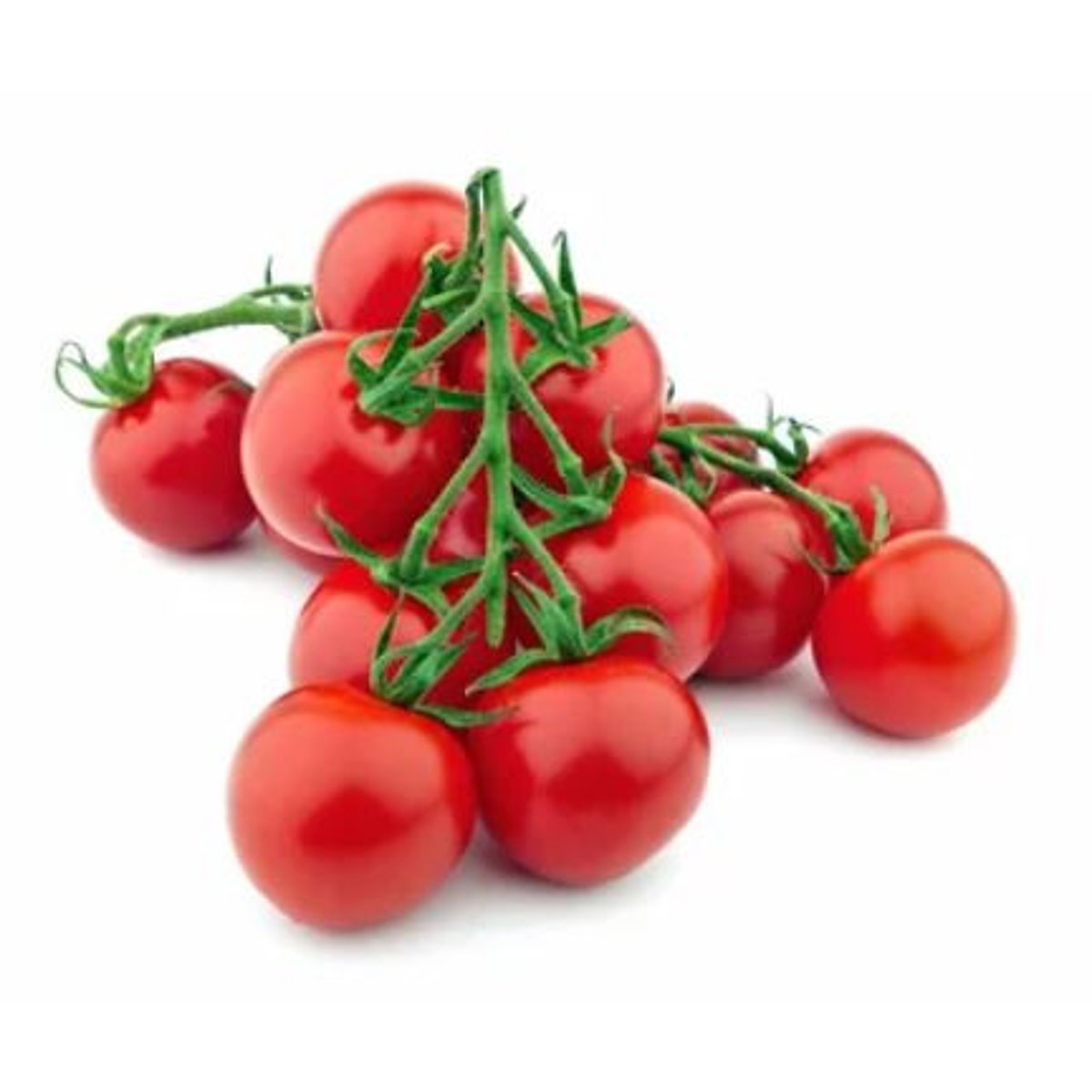 Rajčata cherry koktejlová na větvičce (odr. Candy Poms), střapec v akci ...